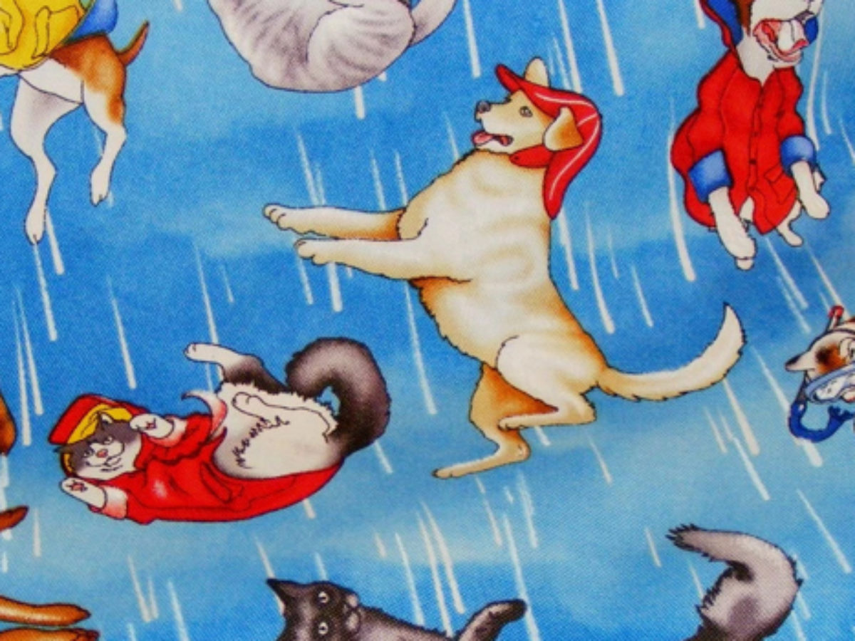 Where Does The Term Raining Cats And Dogs Come From