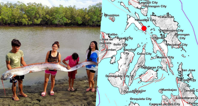 Oarfish Found Days Before 6.5 Magnitude Earthquake Sign Of Bad Omen?