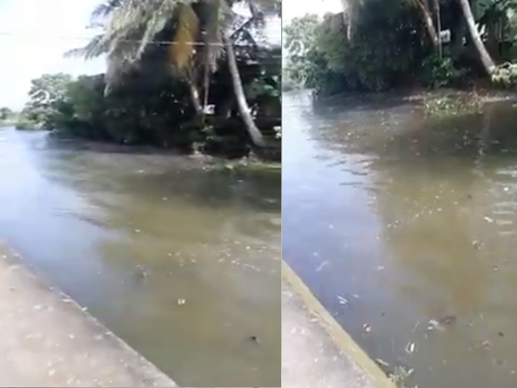 Disturbing Movement of River in Albay During Earthquake Caught on Camera