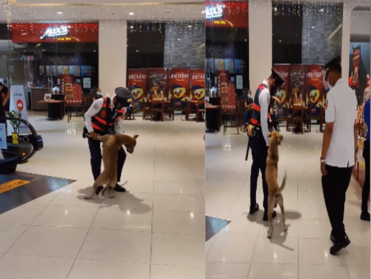 Security Guard Petting Stray Dog Inside Mall Earns Praises Online