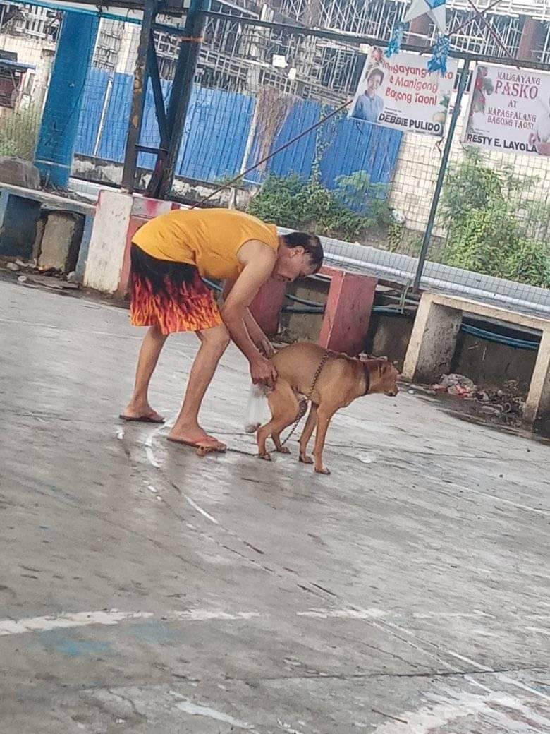 Dog Owner Earned Praise Online for Being Responsible to Pet’s Poop