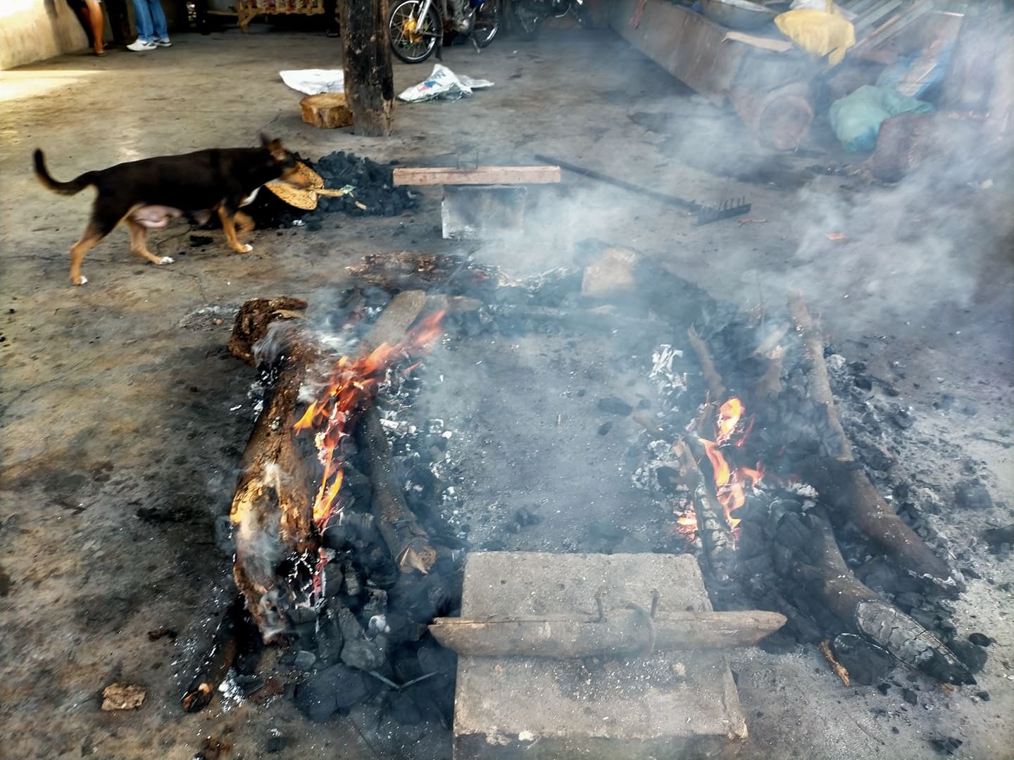 3 Dog Trader in Nueva Ecija Arrested for Illegal Roasting of Dogs