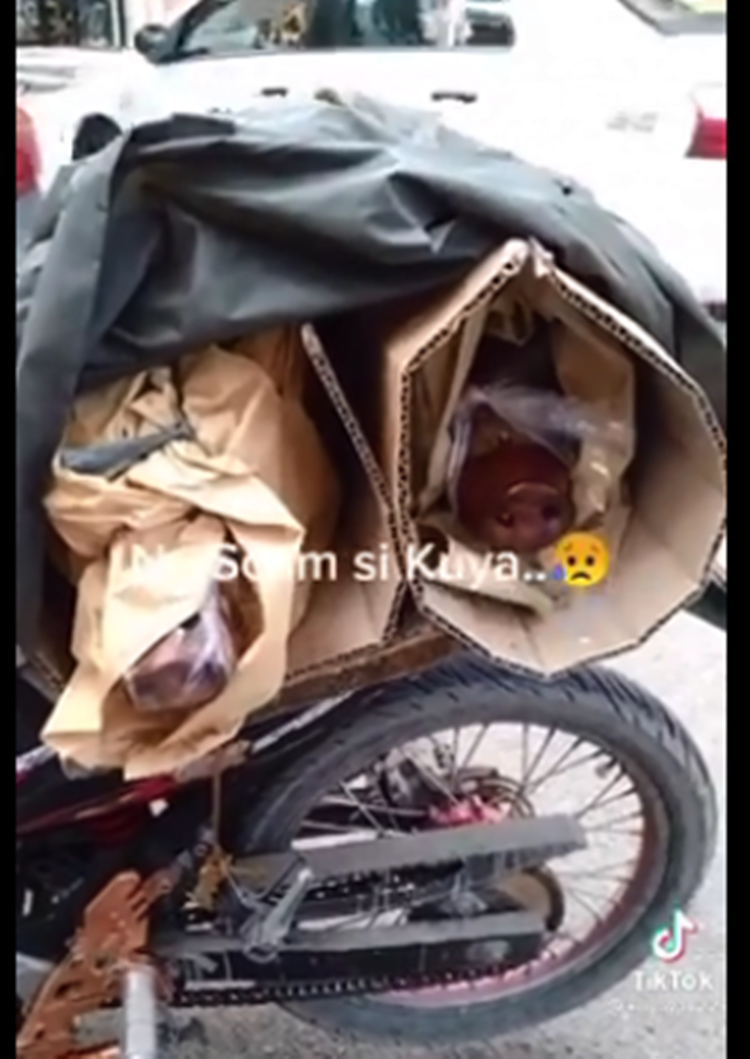 Delivery Rider Loses P10k After Heartless Scammer Ordered 2 Lechon