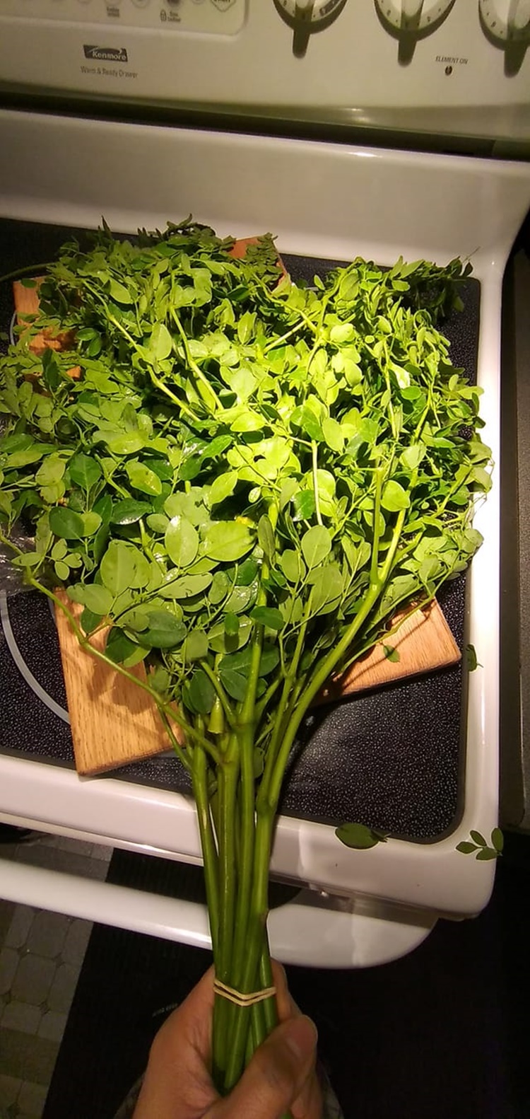 Lady Customer Gets Surprised Over Expensive Malunggay Price in Canada