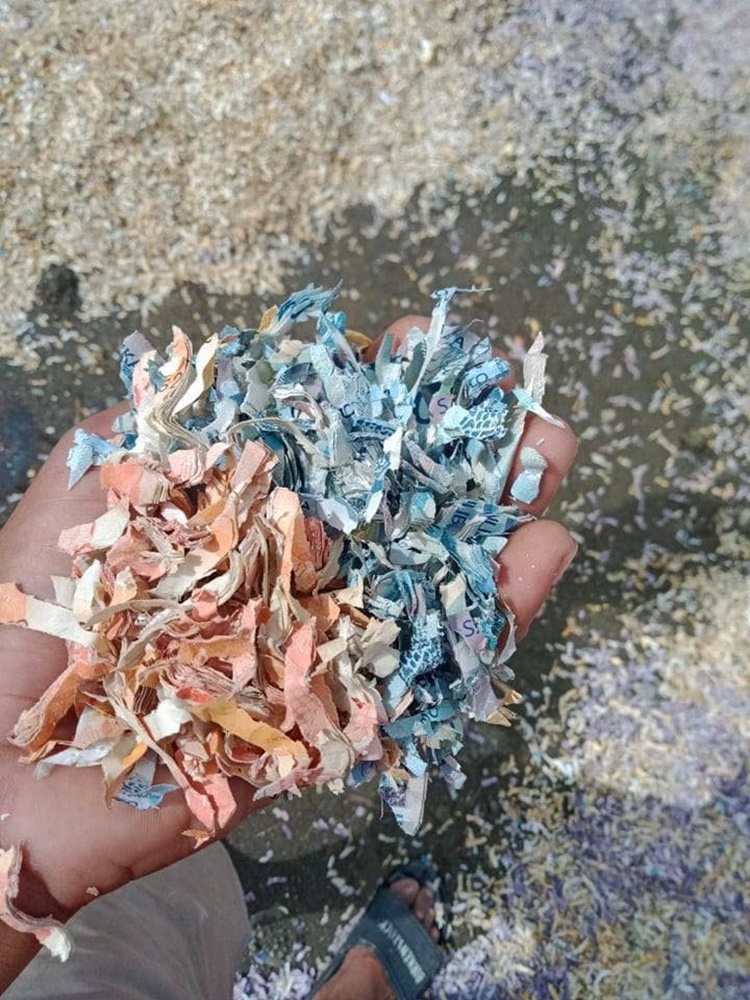 Capiz Residents Found Shredded Paper Bills at Vacant Lot in Roxas City