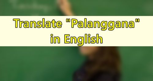 Palanggana in English - Translate "Palanggana" in English