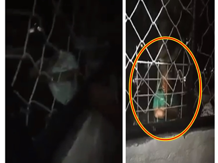 Gov’t Officials Apprehend Individuals Eating Inside House During Curfew