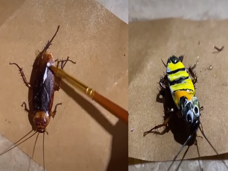 Creative Guy Turns Disgusting Cockroach Into Bee After Painting Artwork ...