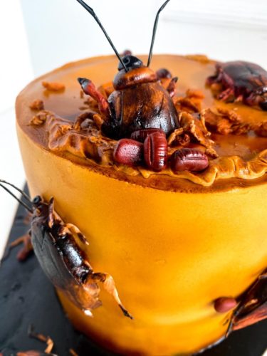 IPIS CAKE: Lady Netizen Makes Cockroach-Themed Cake