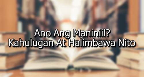 Ano Ang Maniniil? – Kahulugan At Halimbawa Nito
