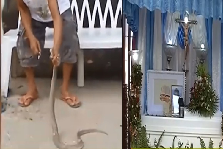 “Boy Ahas” of Mangaldan, Pangasinan Passes Away Due to Snakebite