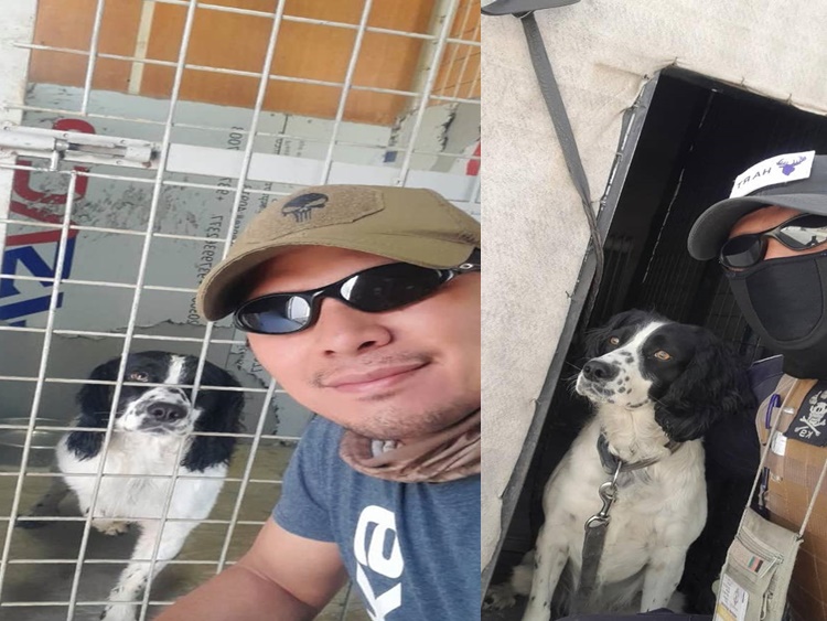 Pinoy OFW Sadly Leaves Dog in Afghanistan After Repatriation