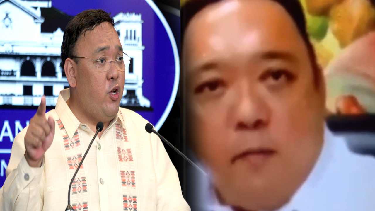 Harry Roque Warns Violations vs Person who Leaked Outburst Video