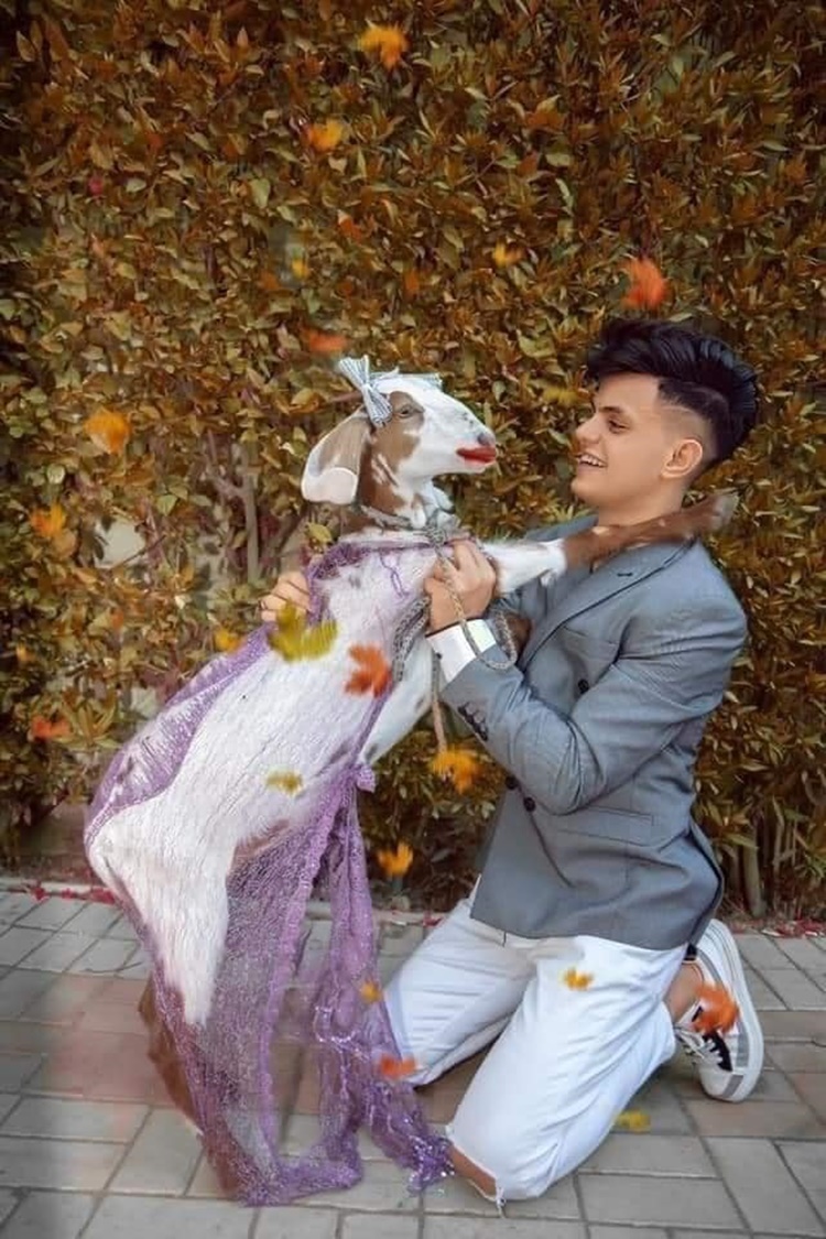 Man Marries Beloved Pet Goat Covered w/ Red Lipstick