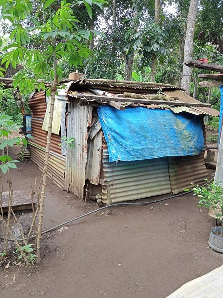 Shanty Made From Old Iron Sheets Goes Viral Over Impressive Interior