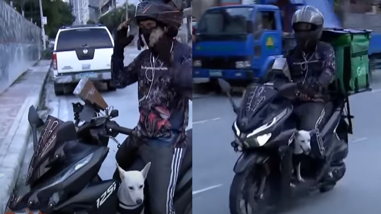 Delivery Rider Carrying His Pet Dog Everyday at Work Goes Viral