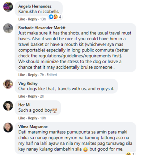 Adorable Dog Goes Viral & Capture Hearts of Netizens After Riding Jeepney