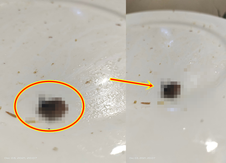Lady Customer Found Unpleasant Object on her “Sisig”