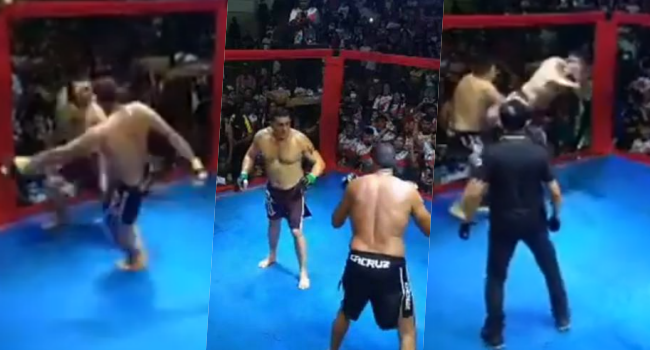 Politicians Fight In The Ring To Settle Disputes (VIDEO)