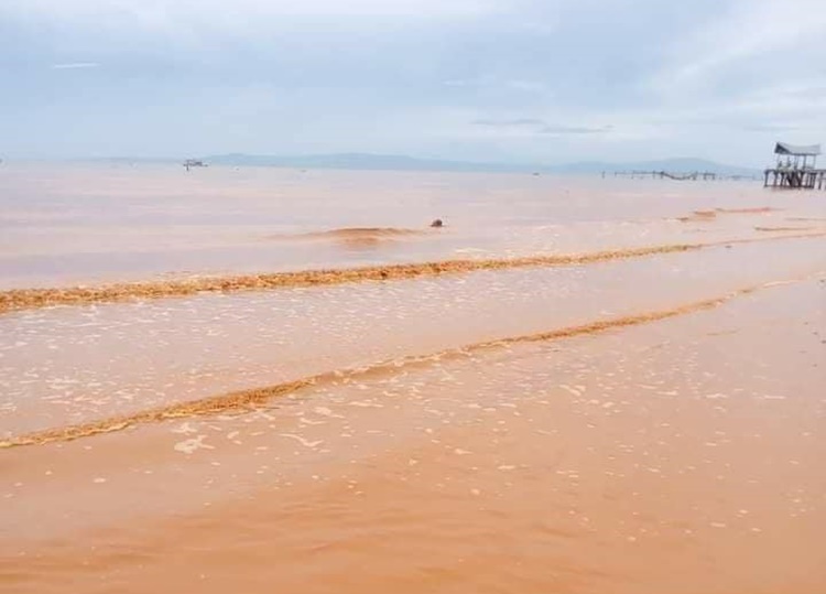 DENR Launches Probe After Sea Water in Davao Oriental Turns Orange
