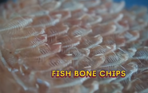 Lady Entrepreneur in Cebu Makes Fishbone Chips From Subagyo