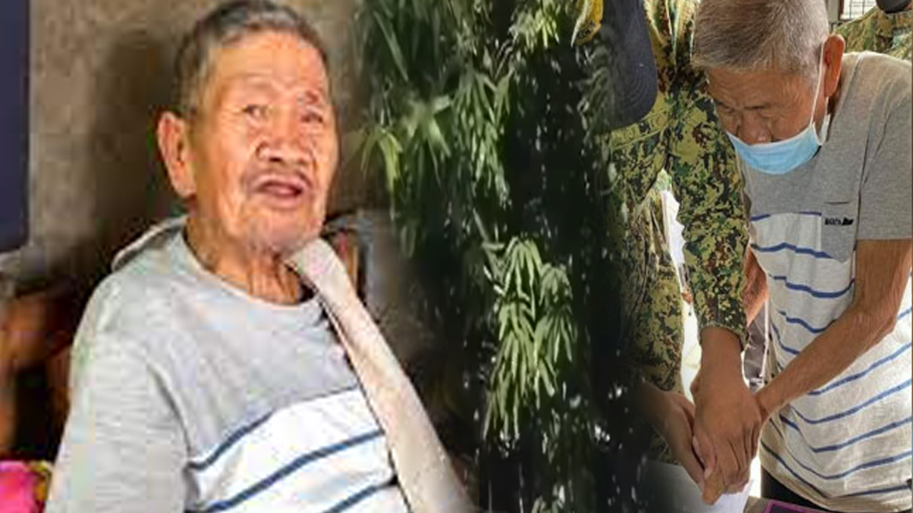 Caretaker Clarified That Lolo Narding Sells 10 Kaing Not Kilo of Mangoes