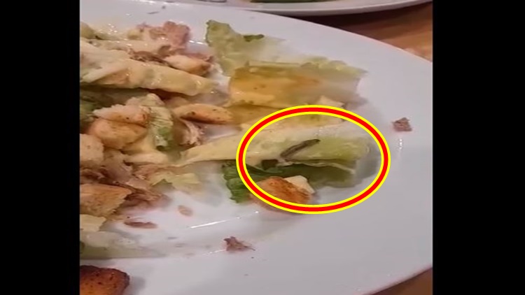 Male Customer Slams Pizza Store After He Found Something Disgusting in ...