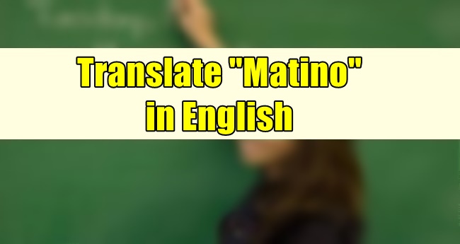Matino in English - Translate "Matino" in English
