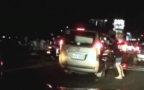 Fearless Male Snatcher Caught on Camera Performing Illegal Activity ...