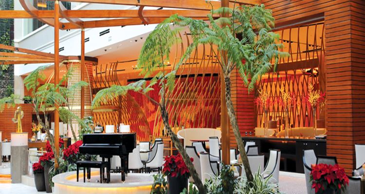 Oasis Garden Cafe Solaire Menu and Prices