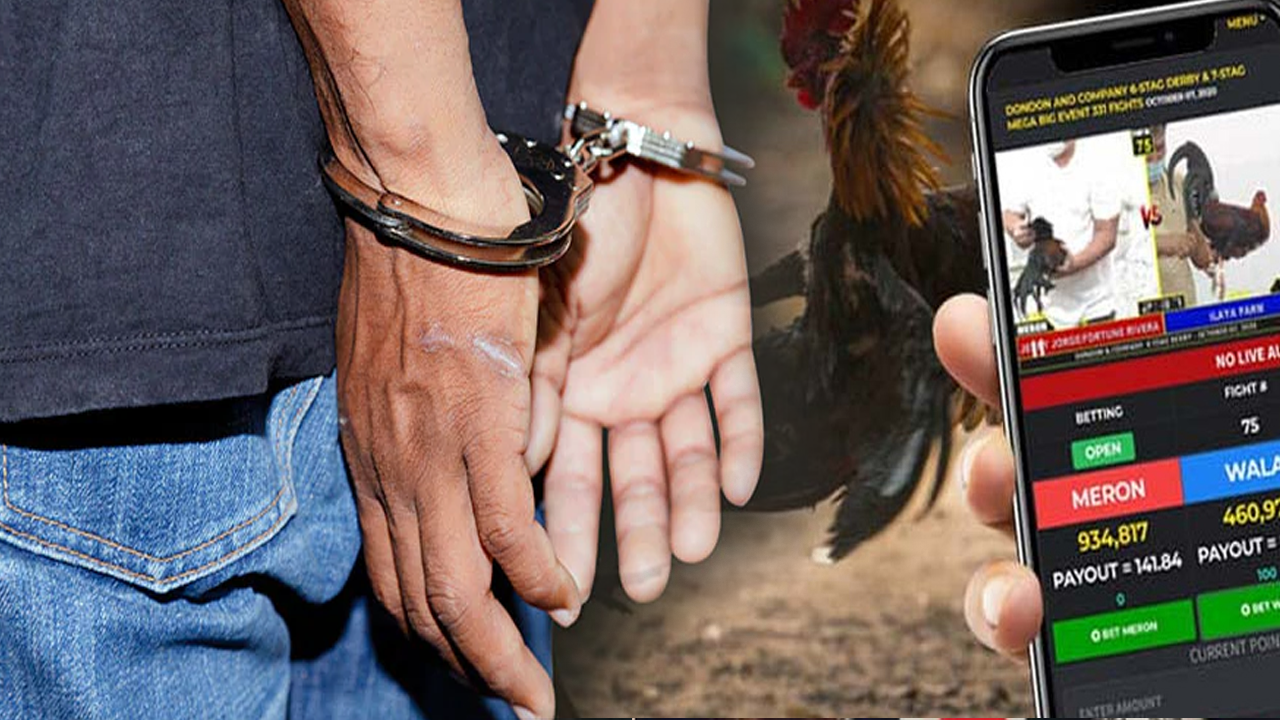 6 ‘Sabungeros’ Caught Playing Online Sabong in Pasig Jailed
