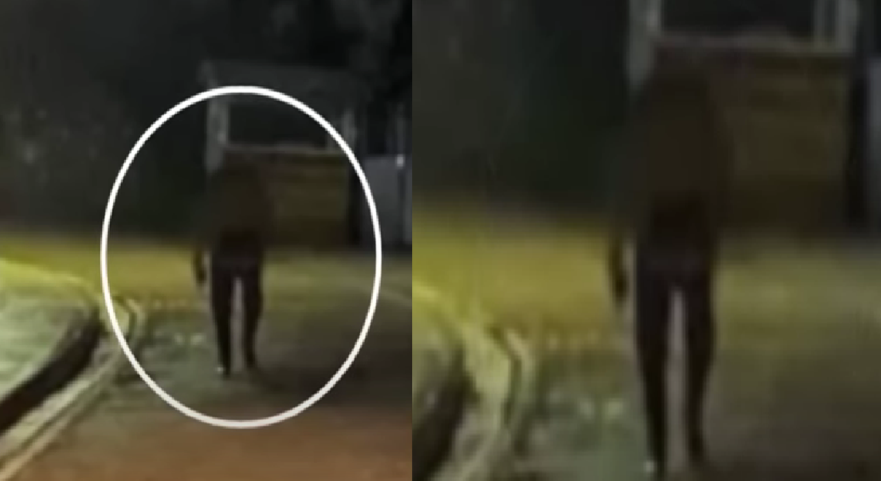 Tourist Photographed Headless Man at Diplomat Hotel