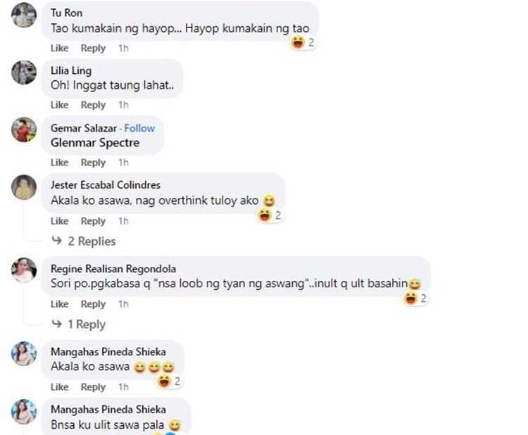 Body of Missing Woman Found Inside Stomach of Giant Python