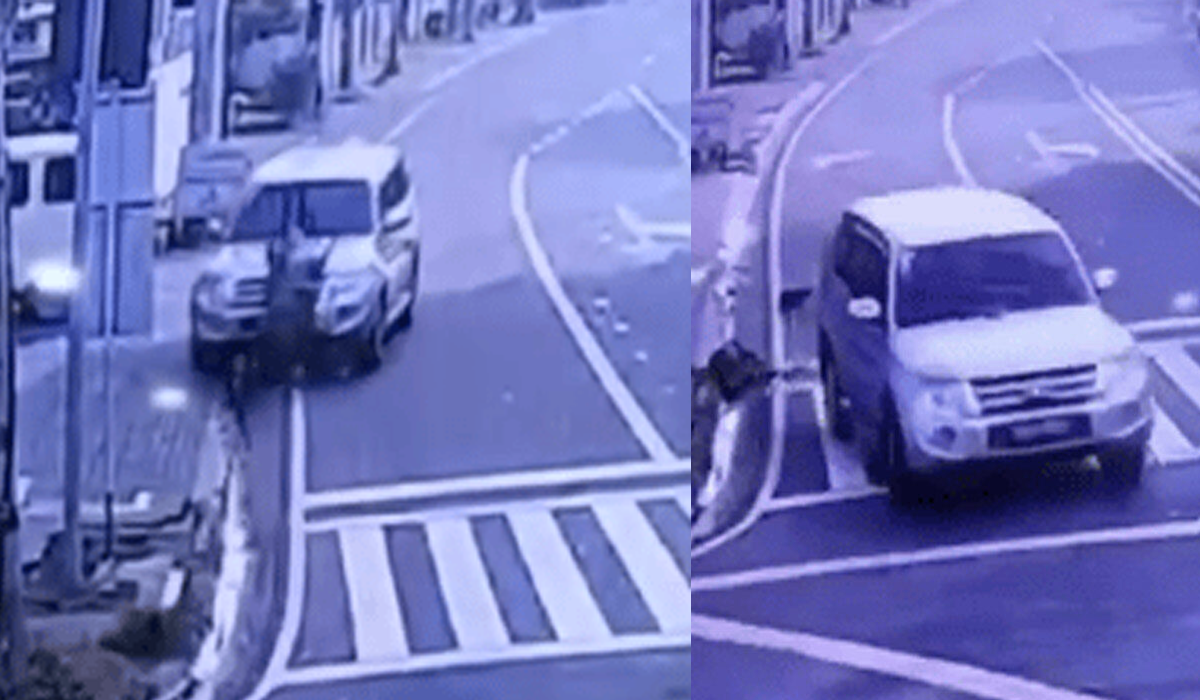 Licenses of 2 Reckless Drivers Revoked Over Hit-and-Run Incidents