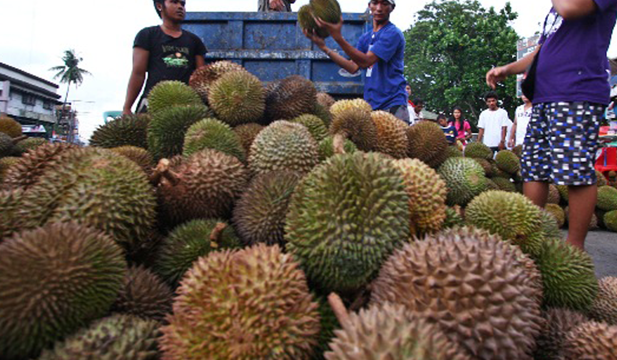 Philippines is Ready for $2-B Export of Durian, Other Fruits to China