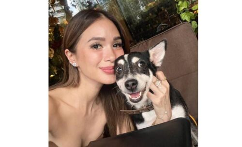 Heart Evangelista Spends Over ₱65K On Pasalubong For Pet Dog Panda