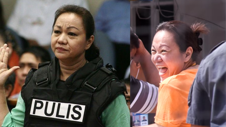 Janet Napoles Cleared in 16 Cases Related to Pork-Barrel Scam