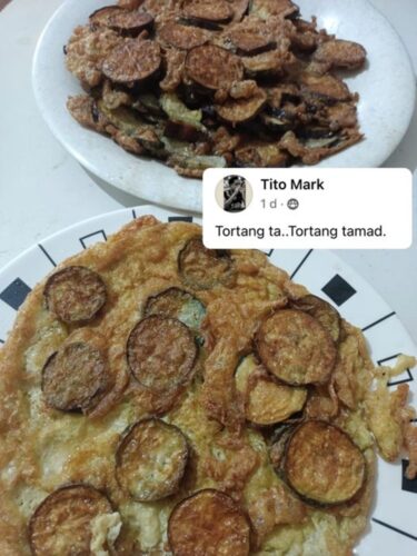 Lazy Guy Introduces Unconventional Eggplant Dish 'Tortang Tamad'