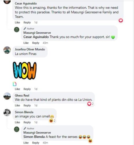 Unique Species of "Pungapong" Discovered in Masungi Georeserve