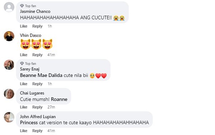 Fur Parent Flexes Cute Cats Grooving to 'The Lazy Song'