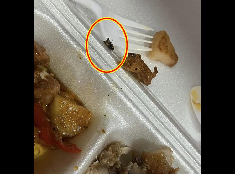 Concerned Netizen Slams Karinderya Over Presence of ‘Langaw’ on Food