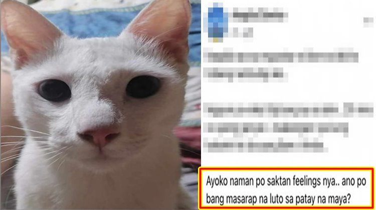 Fur Parent Shares Playful Encounter w/ His Cat: “Nagdala po siya ng ...