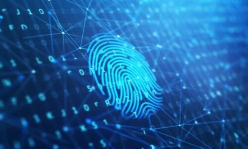 Fingerprint Facts: 5 Interesting Facts About Your Fingerprints | PhilNews