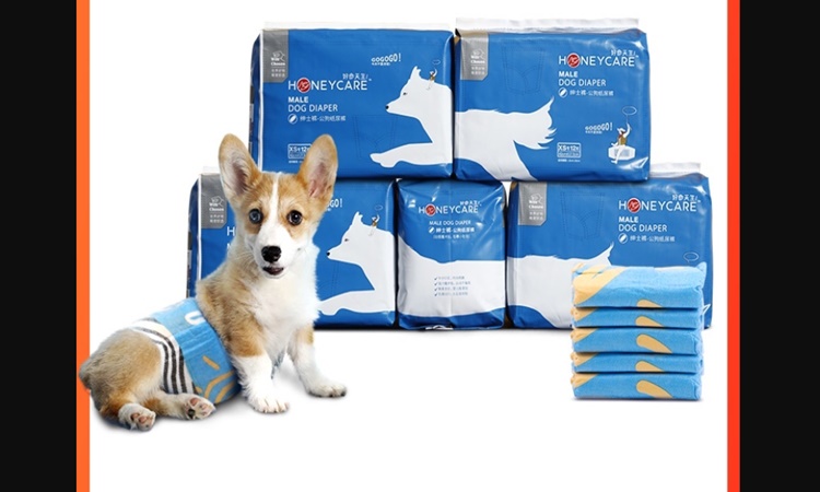 Top 10 Dog Diapers In The Philippines 2024 - Leading Brands | PhilNews