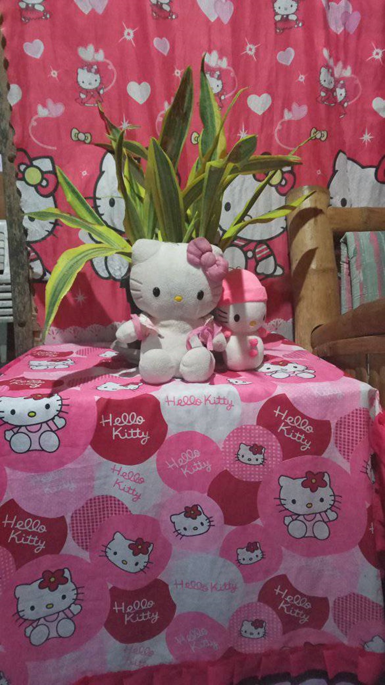 Netizen Goes Viral for Sharing Photos of Her Hello Kitty House| PhilNews