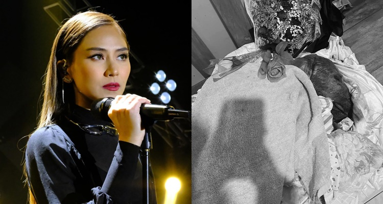 Sarah Geronimo Calls "Justice For Killua" The Golden Retriever | PhilNews