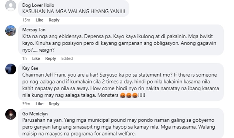 Several Lifeless Cats In Cat Pound In Cavite Are Being Eaten By Other ...