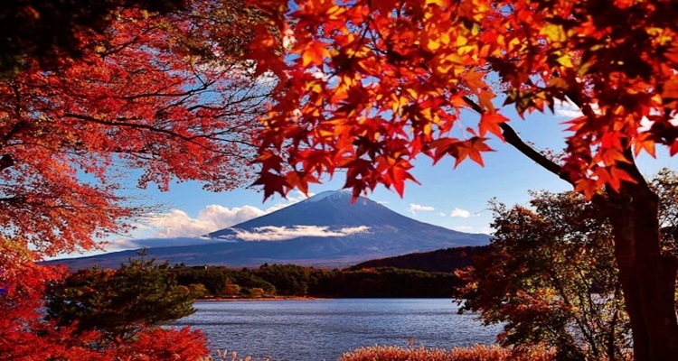 Autumn In Japan 2024 - Where Are The Best Spots To Experience This ...