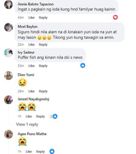 2 Minor Siblings Die After Eating Puffer Fish in Basilan | PhilNews