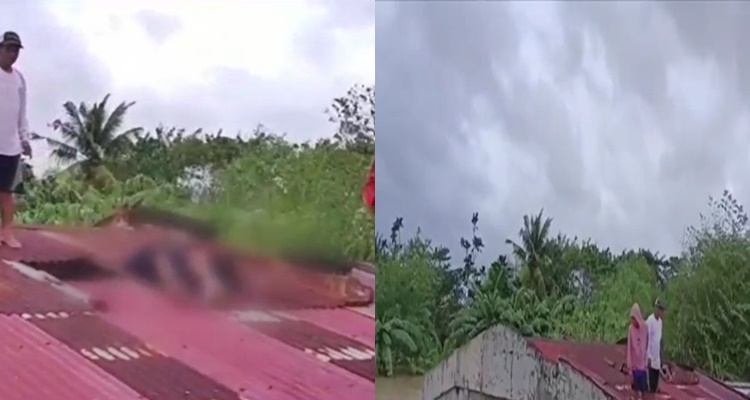 Kristine PH: Old Man Dies After Being Trapped Inside The House Due To ...